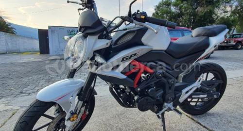 Daytona GP1 250 2021 Paseo en Quito, Pichincha-Comprar usado en ...