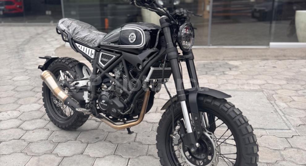 Daytona DY 250 Scrambler 2025 Paseo en Ibarra, Imbabura-Comprar usado ...
